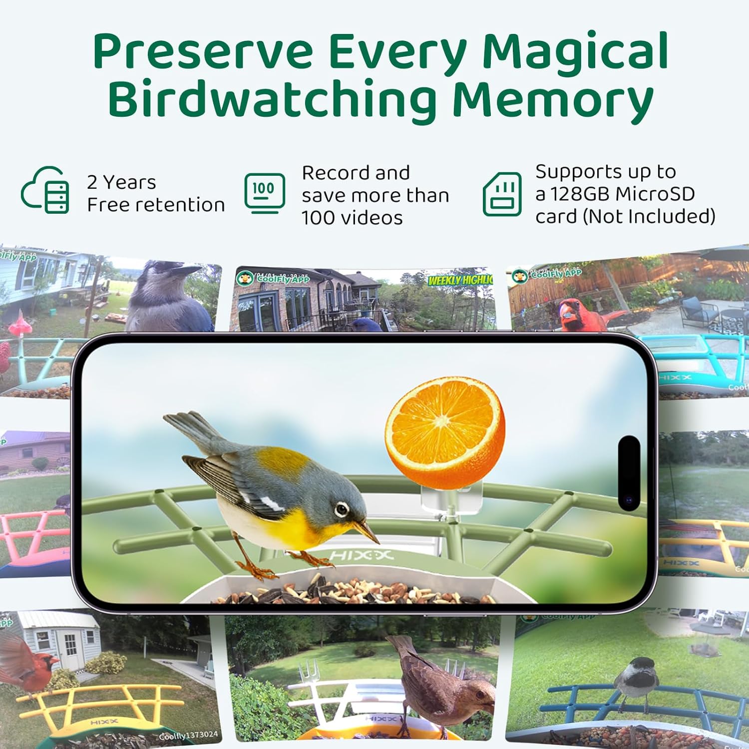Hixx Smart AI Bird Feeder with 2K HD Camera – Birds of Our Lives