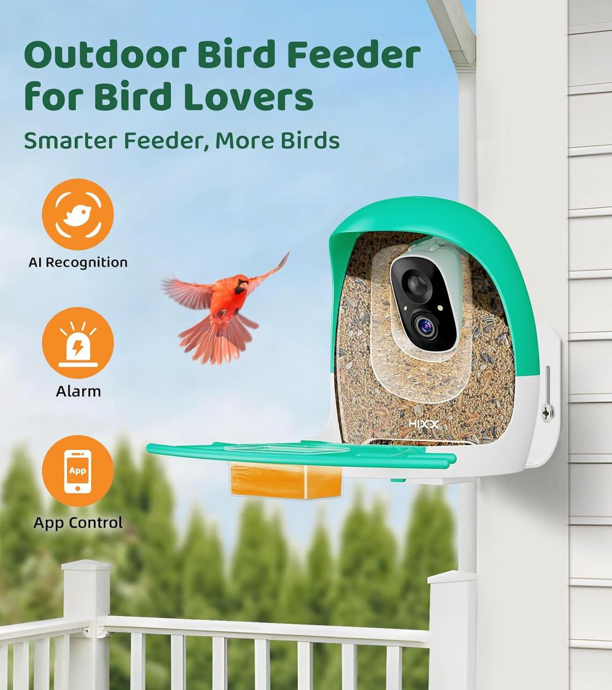 Hixx Smart AI Bird Feeder with 2K HD Camera – Birds of Our Lives